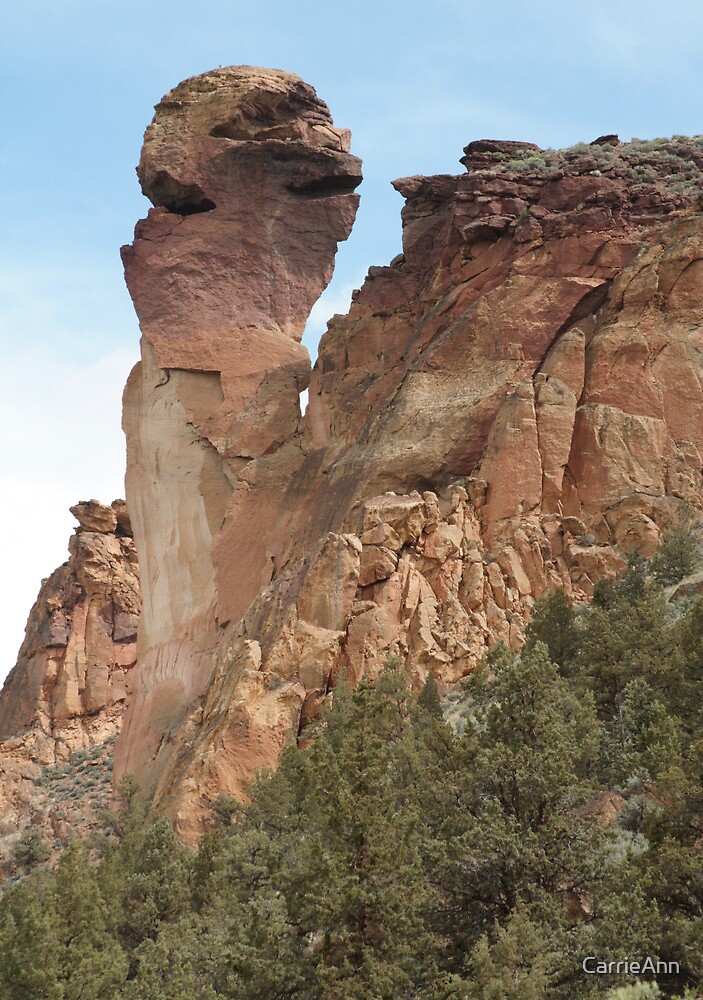"Monkey Face Pillar - Smith Rock State Park" by CarrieAnn | Redbubble