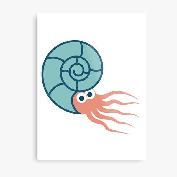 Ammonite Metal Prints | Redbubble
