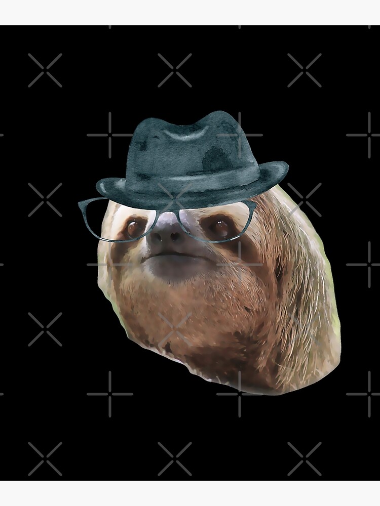 "Sloth Black Glasses gangster hat Sloths In Clothes" Photographic Print ...