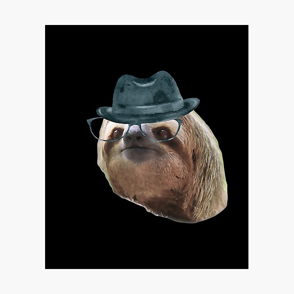 "Sloth Black Glasses gangster hat Sloths In Clothes" Photographic Print ...