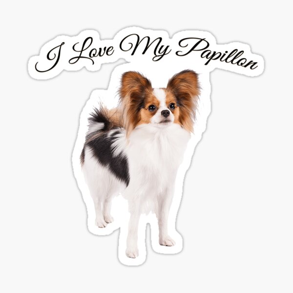 "I Love My Papillon Dog" Sticker for Sale by Pam069 | Redbubble