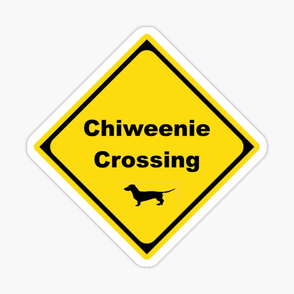 Chiweenie Gifts & Merchandise | Redbubble