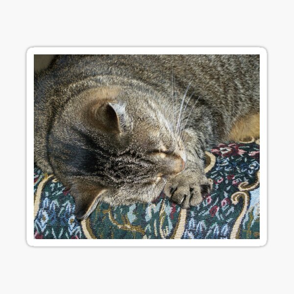 Napster Stickers | Redbubble