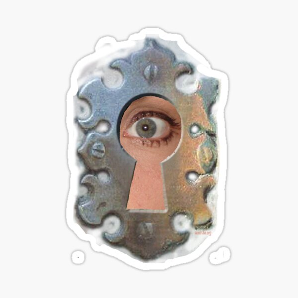 "Big Brother is Watching" Sticker for Sale by ppprincess | Redbubble