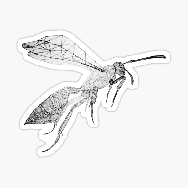 "Wasp" Sticker for Sale by mosesdesigns | Redbubble