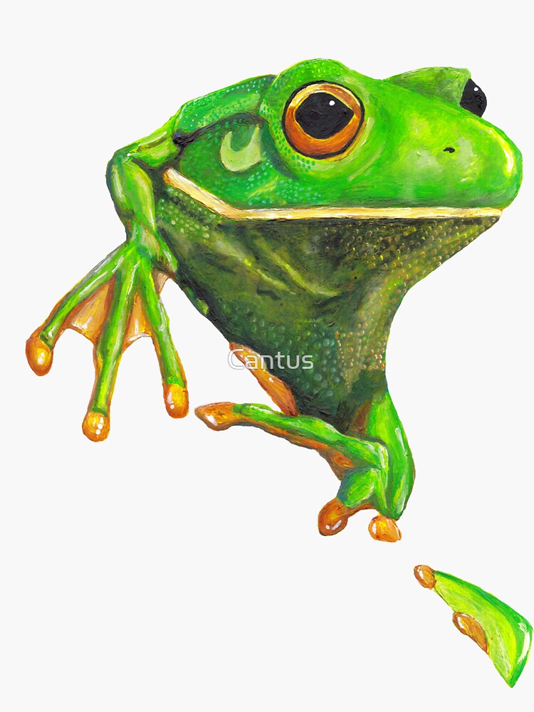 "Frog sans log" Sticker for Sale by Cantus | Redbubble