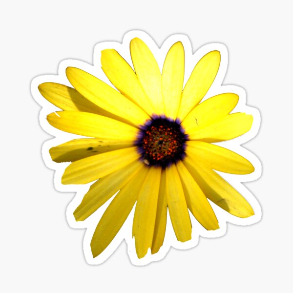 "Mellow Yellow" Sticker for Sale by garethstamp | Redbubble