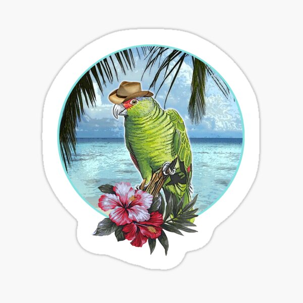 Cool Surf Stickers | Redbubble