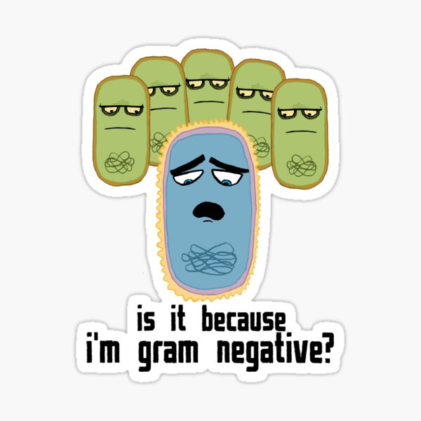 "Is it because I'm Gram-negative?" Sticker for Sale by velica | Redbubble