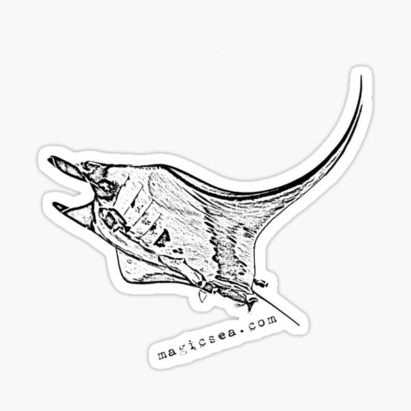 "Manta Ray T-shirt" Sticker by underwaterart | Redbubble