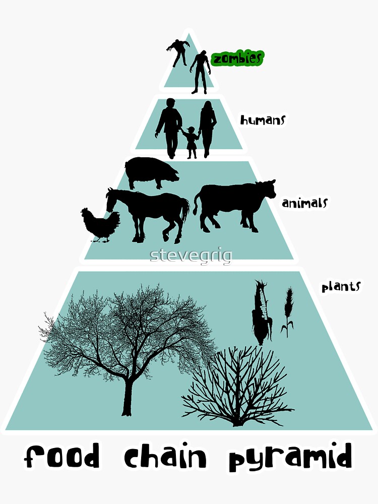 "Food Chain Pyramid" Sticker for Sale by stevegrig | Redbubble