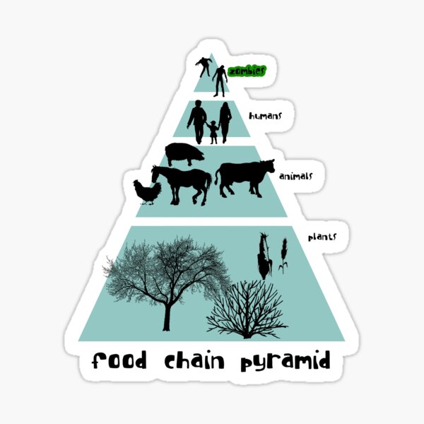 "Food Chain Pyramid" Sticker for Sale by stevegrig | Redbubble