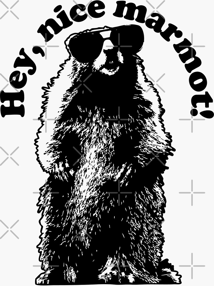 "Hey, Nice Marmot!" Sticker for Sale by synaptyx | Redbubble