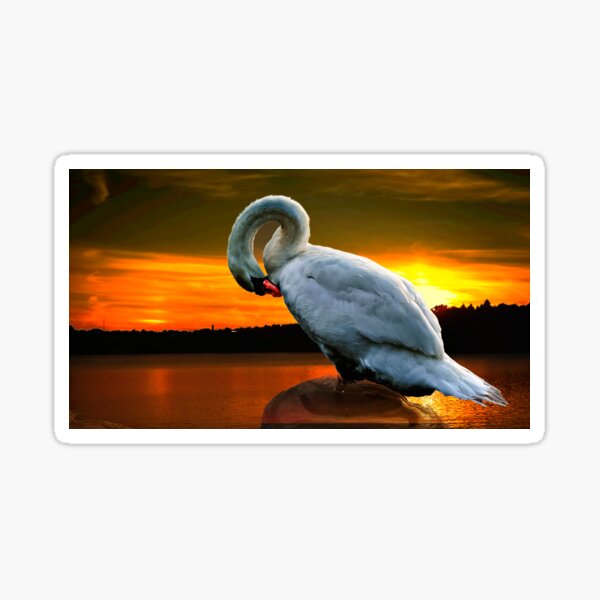 "Sleeping swan" Sticker by LudaNayvelt | Redbubble