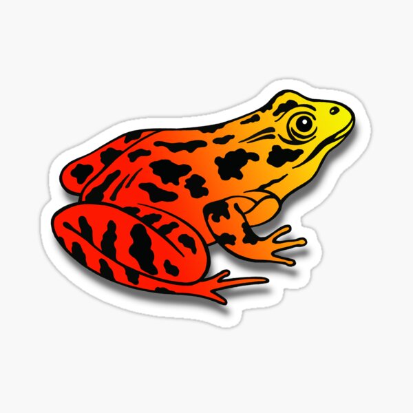 "Frog red-yellow" Sticker for Sale by ajkbilder | Redbubble