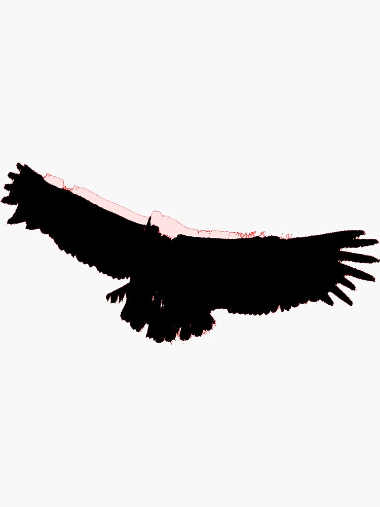 "Condor" Sticker by Browning | Redbubble