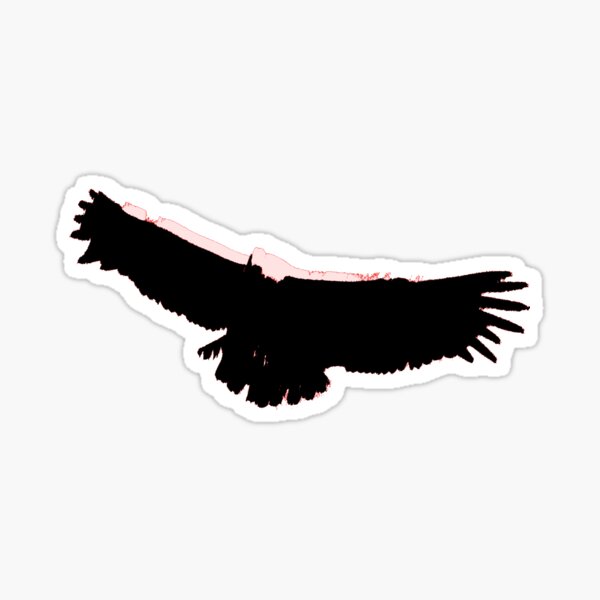 "Condor" Sticker by Browning | Redbubble