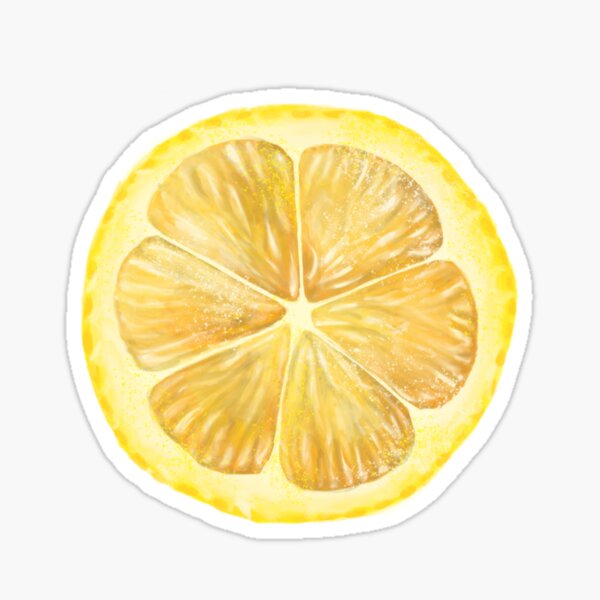 "Lemon Slice (transparent background)" Sticker for Sale by kelsismcg ...
