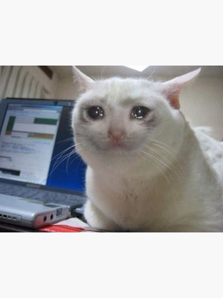 Sticker « Chat triste », par debracornell97 | Redbubble