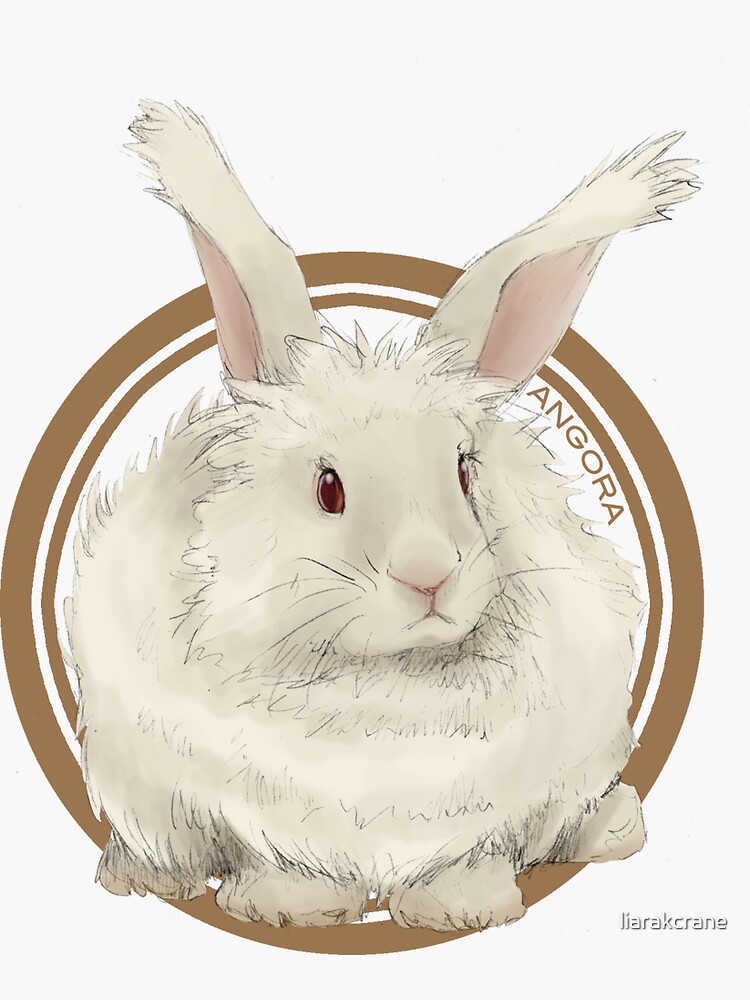 "Angora Rabbit (plain)" Sticker for Sale by liarakcrane | Redbubble