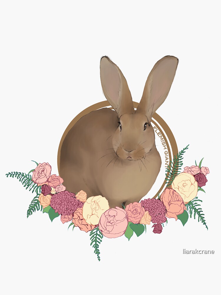 "Flemish Giant Rabbit" Sticker for Sale by liarakcrane | Redbubble