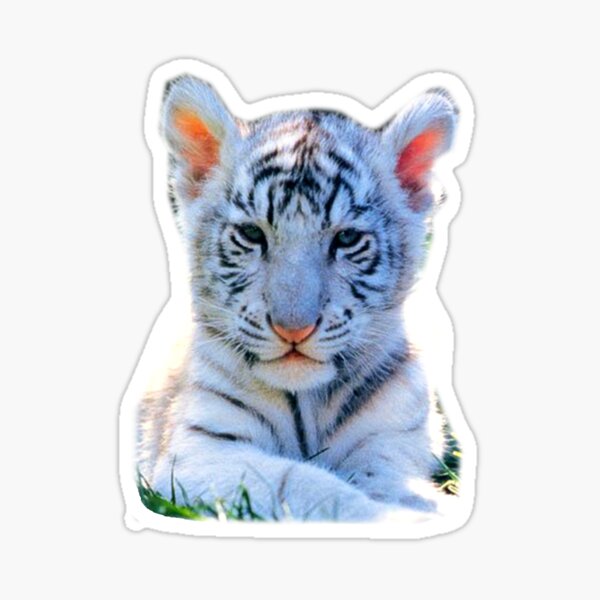 "Tiger Cub" Sticker by Vitalia | Redbubble