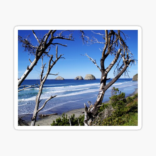 "Oregon Coast" Sticker for Sale by dgsoregon | Redbubble
