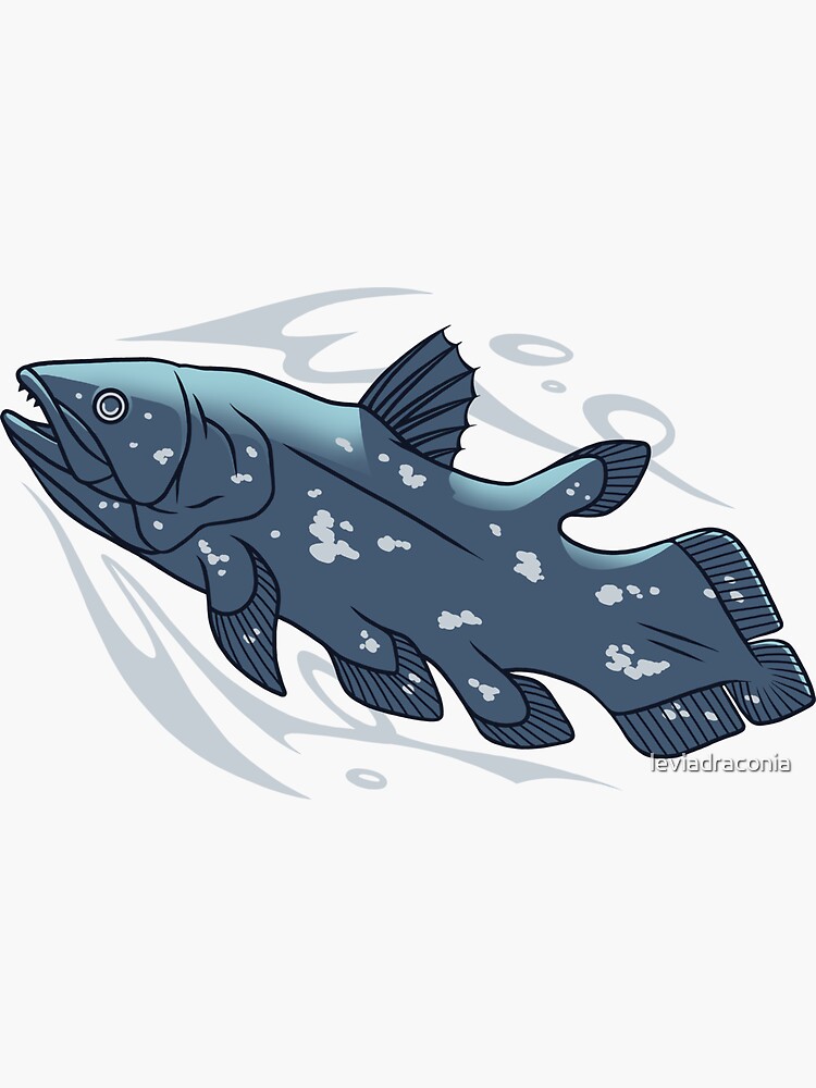"Coelacanth " Sticker for Sale by leviadraconia | Redbubble