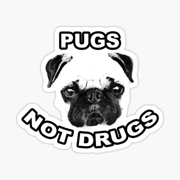 Pugs Not Drugs Stickers | Redbubble