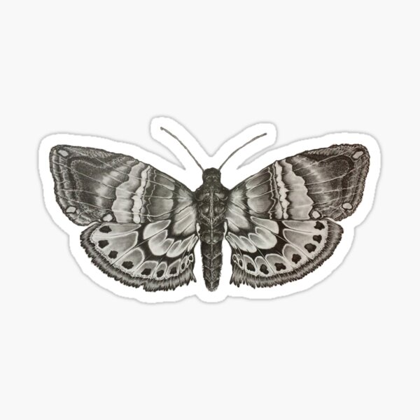 "moth" Sticker by Redmonks | Redbubble