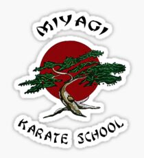 Karate Kid Stickers | Redbubble