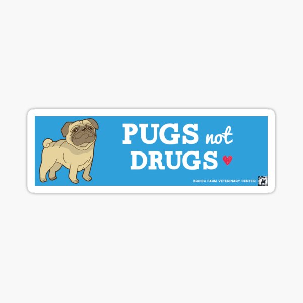 Pugs Not Drugs Stickers | Redbubble