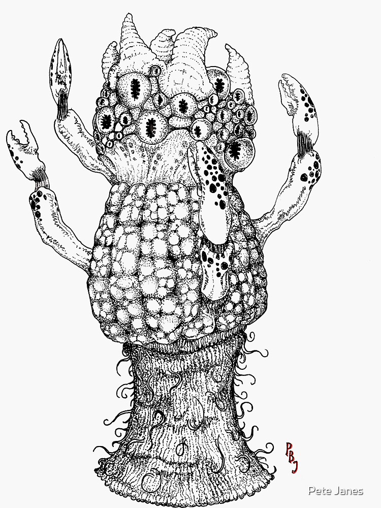 "Polyp of the Plateau of Leng" Sticker by Spidersknee | Redbubble