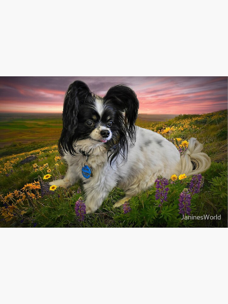 "Fifi" Sticker for Sale by JaninesWorld | Redbubble