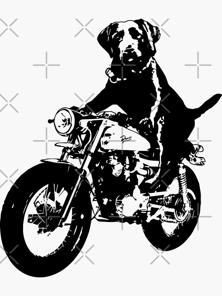 "Easy Rider" Sticker for Sale by typicalartguy | Redbubble