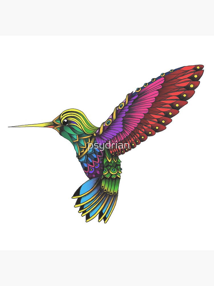 "Color Ornate Colibri" Sticker for Sale by psydrian | Redbubble