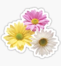 Gerbera Stickers | Redbubble