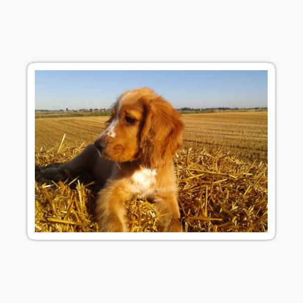 Hay Bale Stickers | Redbubble