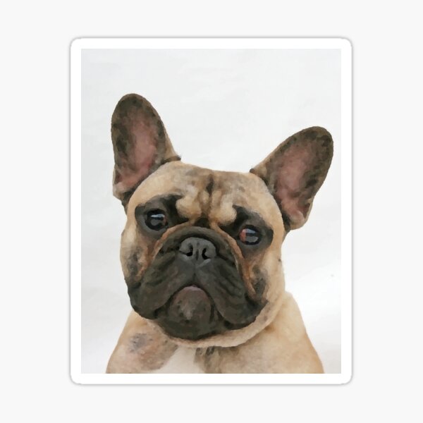 Frenchie Stickers | Redbubble