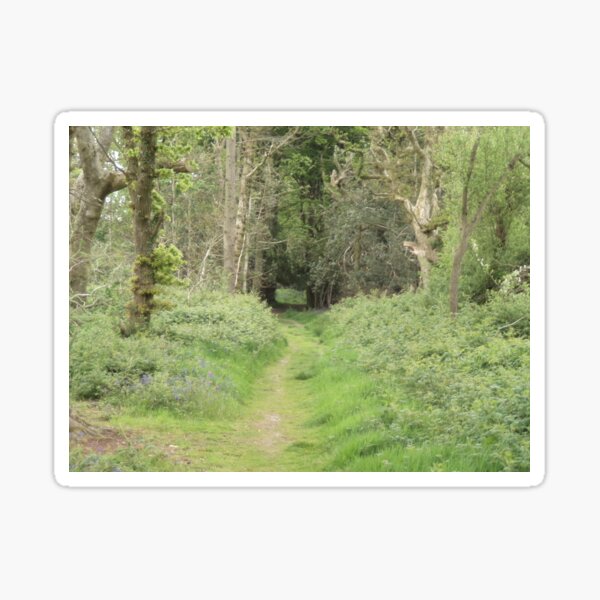 "square pathway" Sticker for Sale by brucemlong | Redbubble