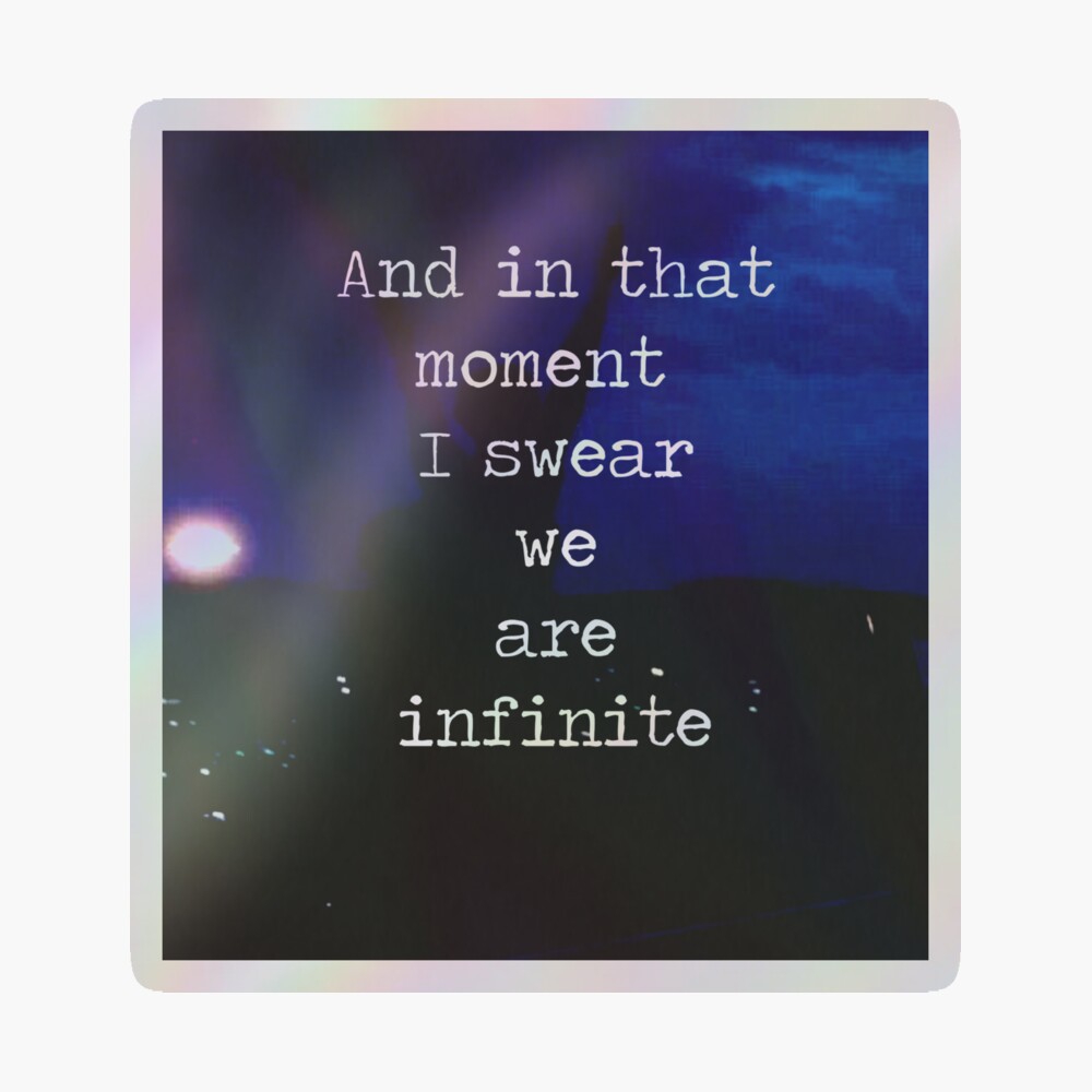And In That Moment I Swear We Were Infinite Background