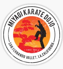 Karate Kid Stickers | Redbubble