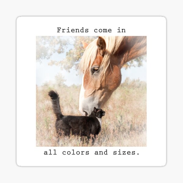 "Friends come in all colors and sizes" Sticker for Sale by okiepony ...
