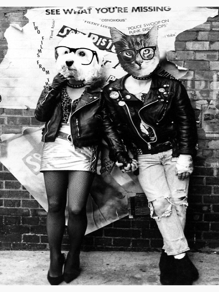 "Sid & Fancy" Sticker for Sale by amorlibertas | Redbubble