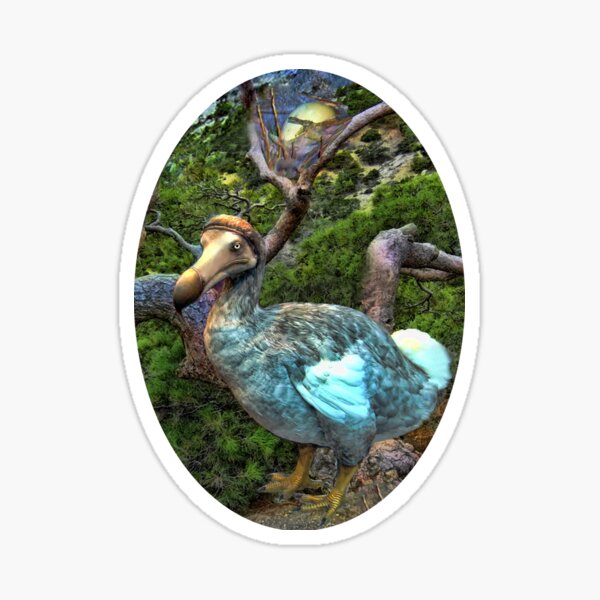 "☝ ☞ RARE EXTINCT- DODO BIRD (RAPHUS CUCULLATUS) TEE SHIRT ☝ ☞" Sticker ...