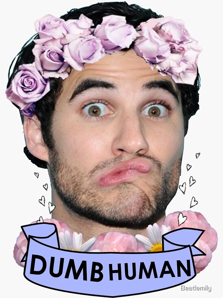 "Darren Criss Dumb Human" Sticker for Sale by Beatlemily | Redbubble