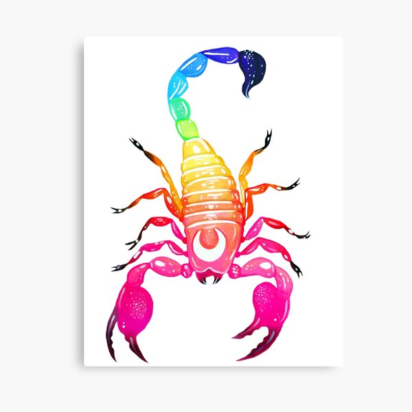 "Scorpion" Canvas Print by cloudsover31 | Redbubble