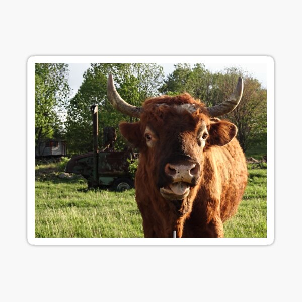 "Na na na" Sticker for Sale by vigor | Redbubble