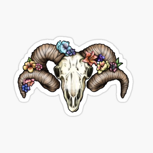 "Floral Ram Skull" Sticker for Sale by HungryDesigns | Redbubble