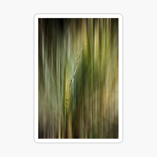 "A Blade of Grass" Sticker for Sale by silvtom | Redbubble